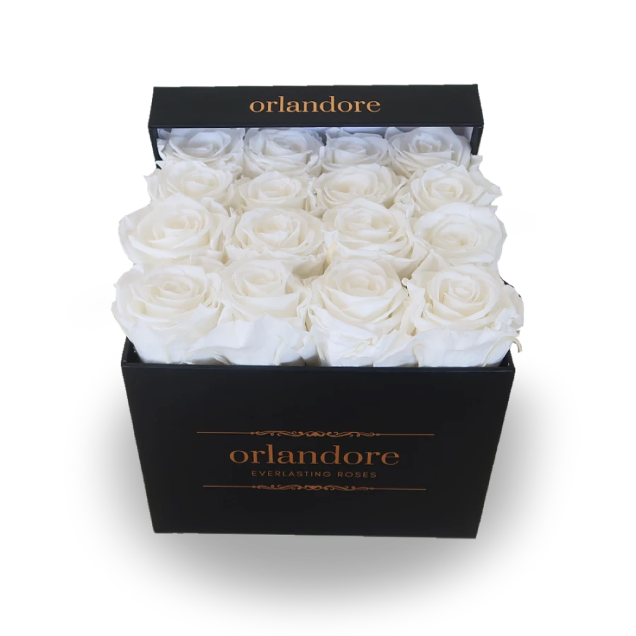 Everlasting rose boxes – Orlandore Everlasting Roses